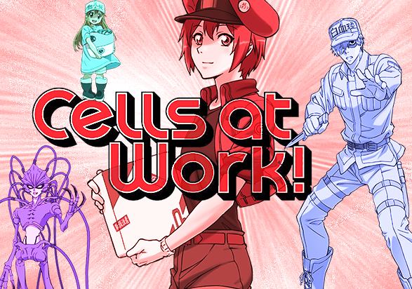 Cells at Work! Las células hechas anime - Filmsteria!